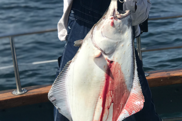 Raven: Halibut Fishing in Neah Bay | Fish Neah Bay